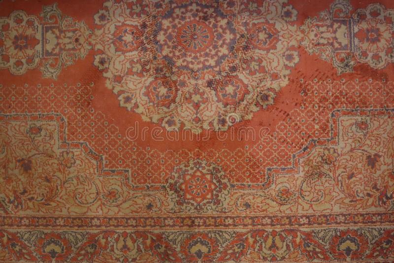 Signs You Need to Replace Your Carpet | Pro Carpet Cleaning